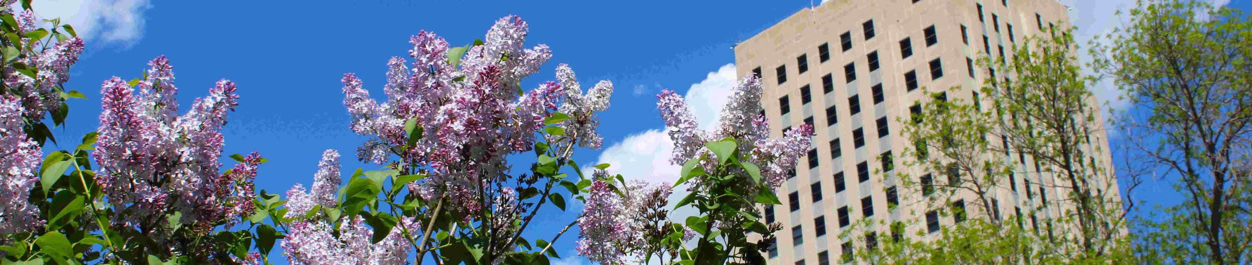 Home | Office of Management and Budget North Dakota