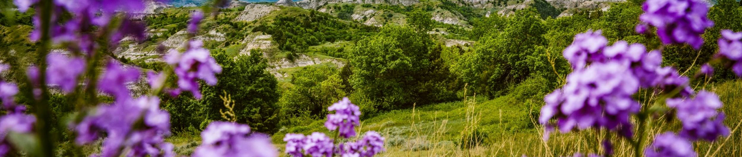 Home | Office of Management and Budget North Dakota