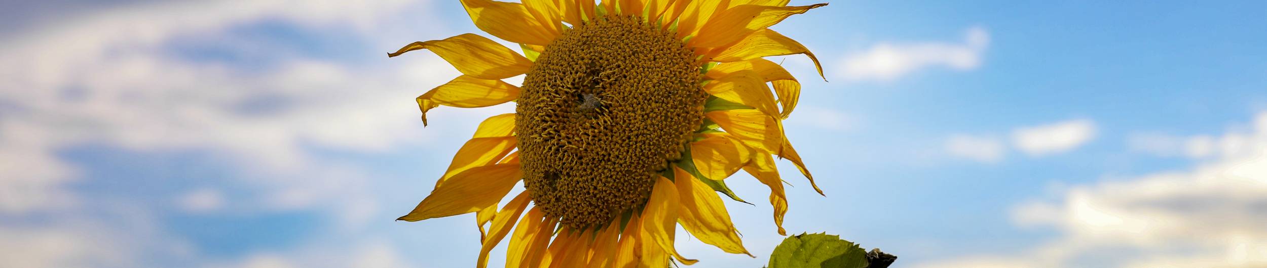 Home | Office of Management and Budget North Dakota